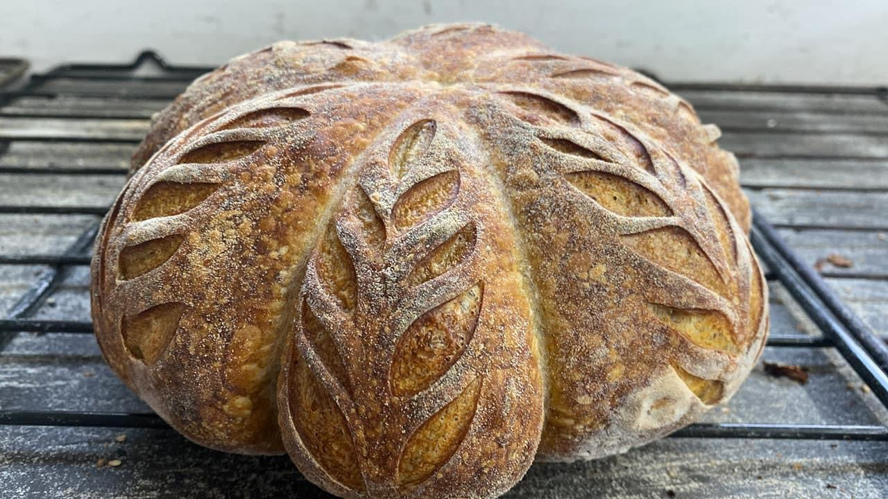 Country White Sourdough Bread – Sunshine Breads & More