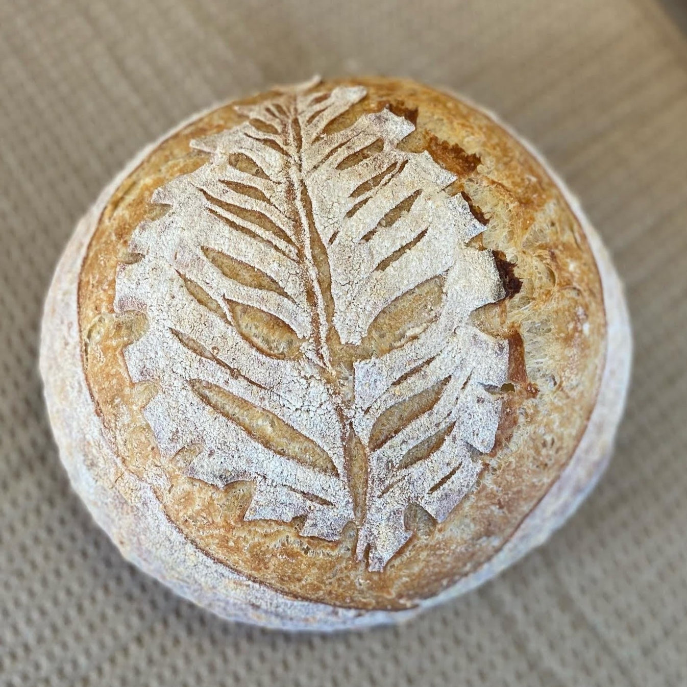 Country White Sourdough Bread – Sunshine Breads & More