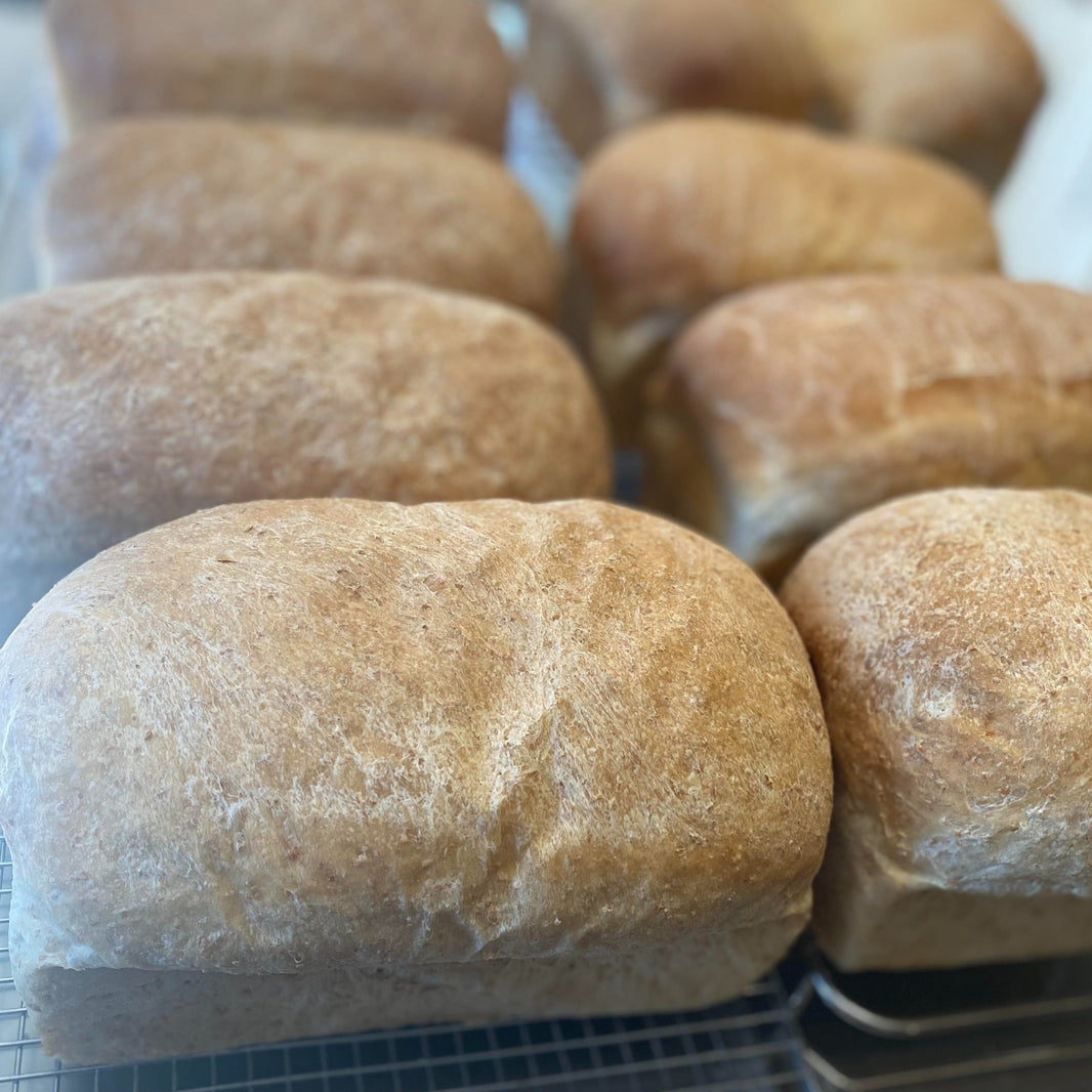 Sunshine Breads & More – Sunshine Breads & More